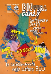 Biofera di Canzo - Foglie di Alchemilla